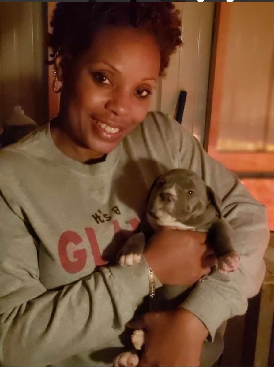 XL American Bullies Puppies For Sale | Buff N Blue Bullies Alabama